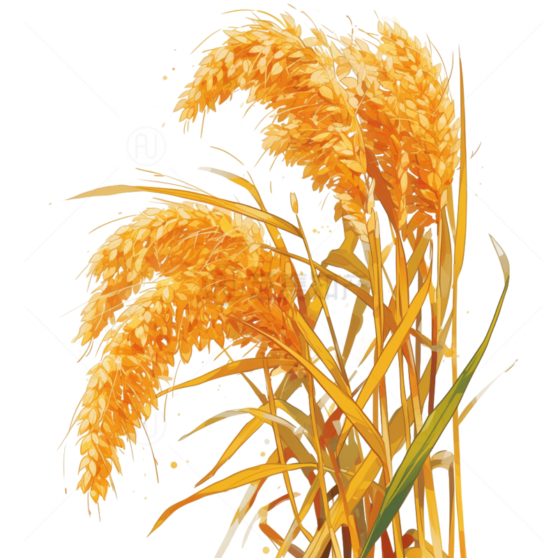 艺集网 (ARTUNS) | 艺集网ARTUNS - 艺术设计人才平台